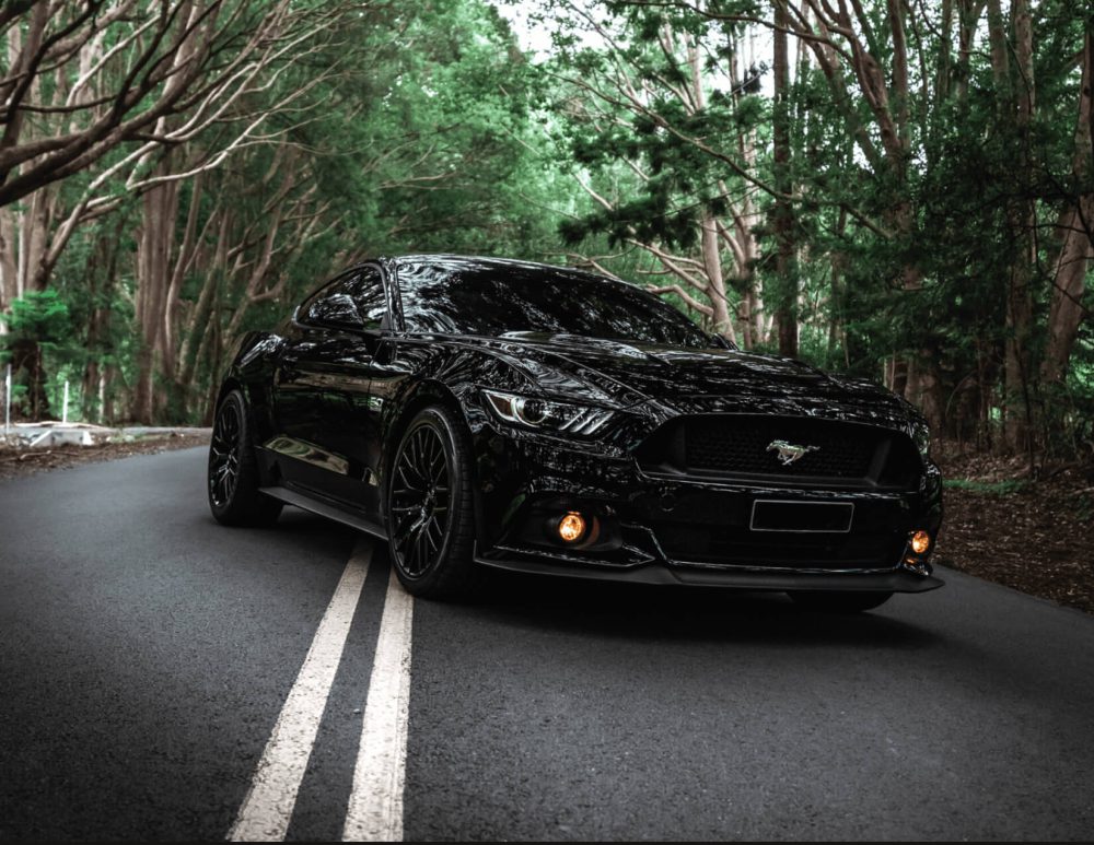 Car Rental Brisbane Mustang at Karen Medina blog